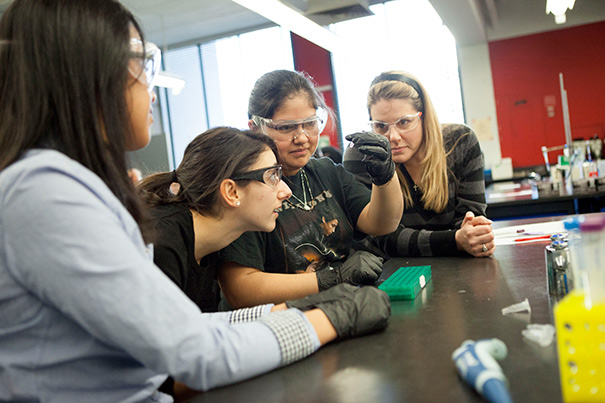 Learning life in the lab — Harvard Gazette