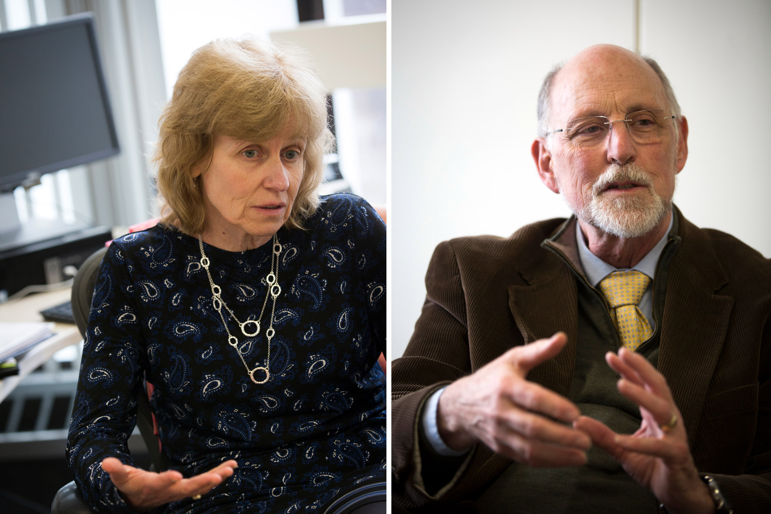 Harvard charts road ahead on Title IX efforts — Harvard Gazette