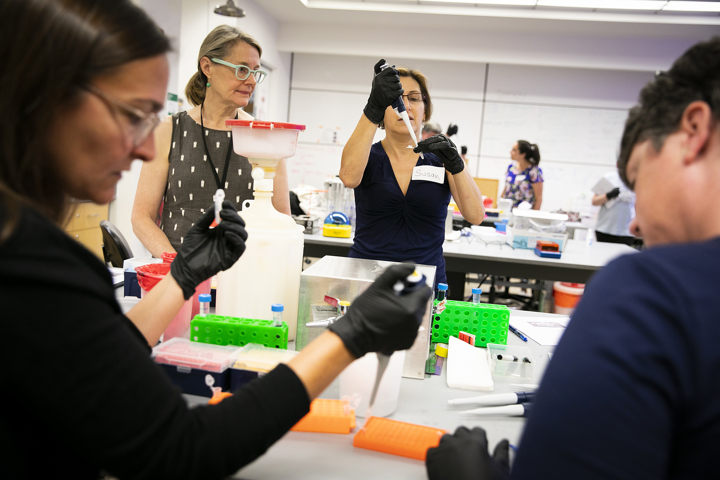 Harvard Museum of Natural History gives hands-on lab work to middle ...