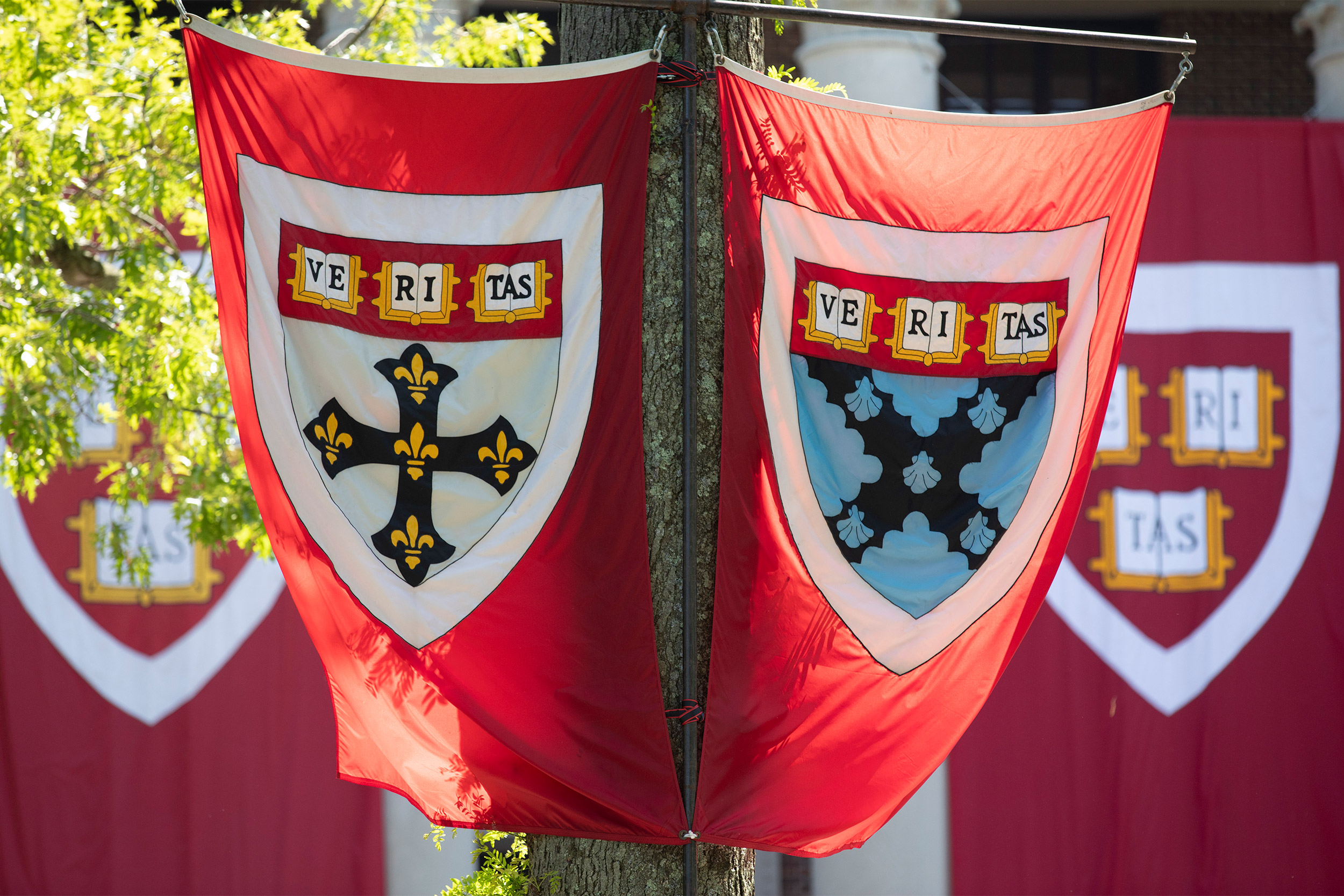 Harvard awards 8,227 degrees, certificates over 2019-20 academic year ...