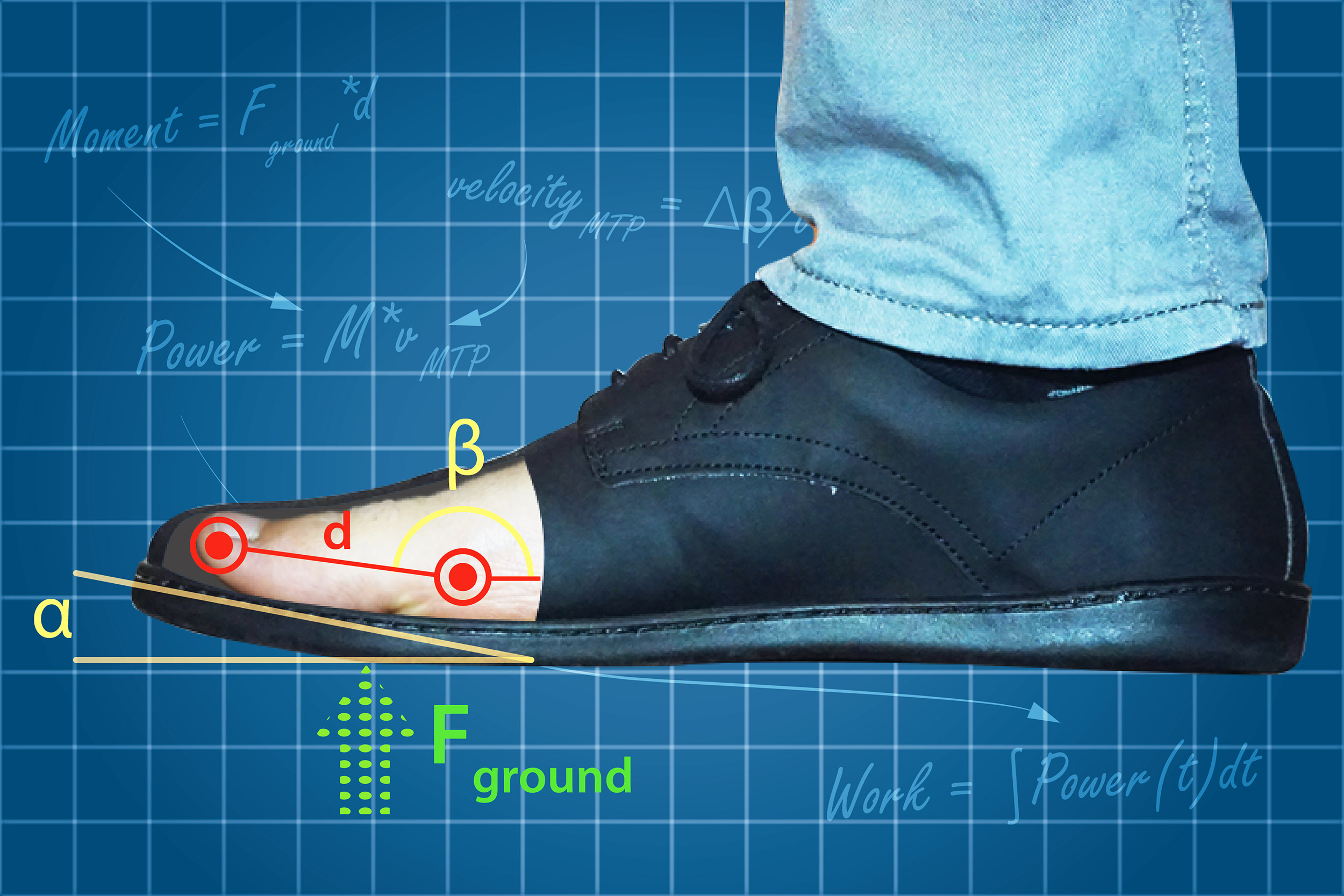 Curve on shoes makes walking easier, but may lead to foot problems ...