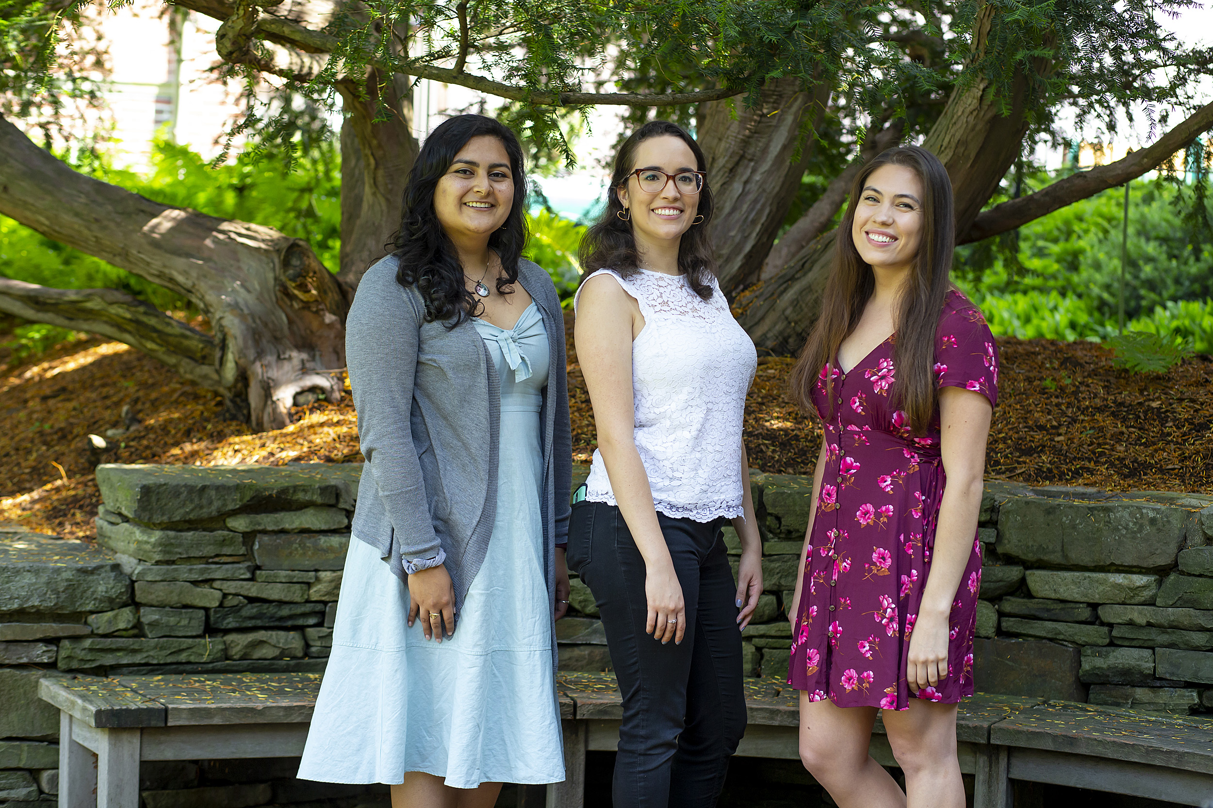 Harvard Teacher Fellows program during a pandemic year — Harvard Gazette