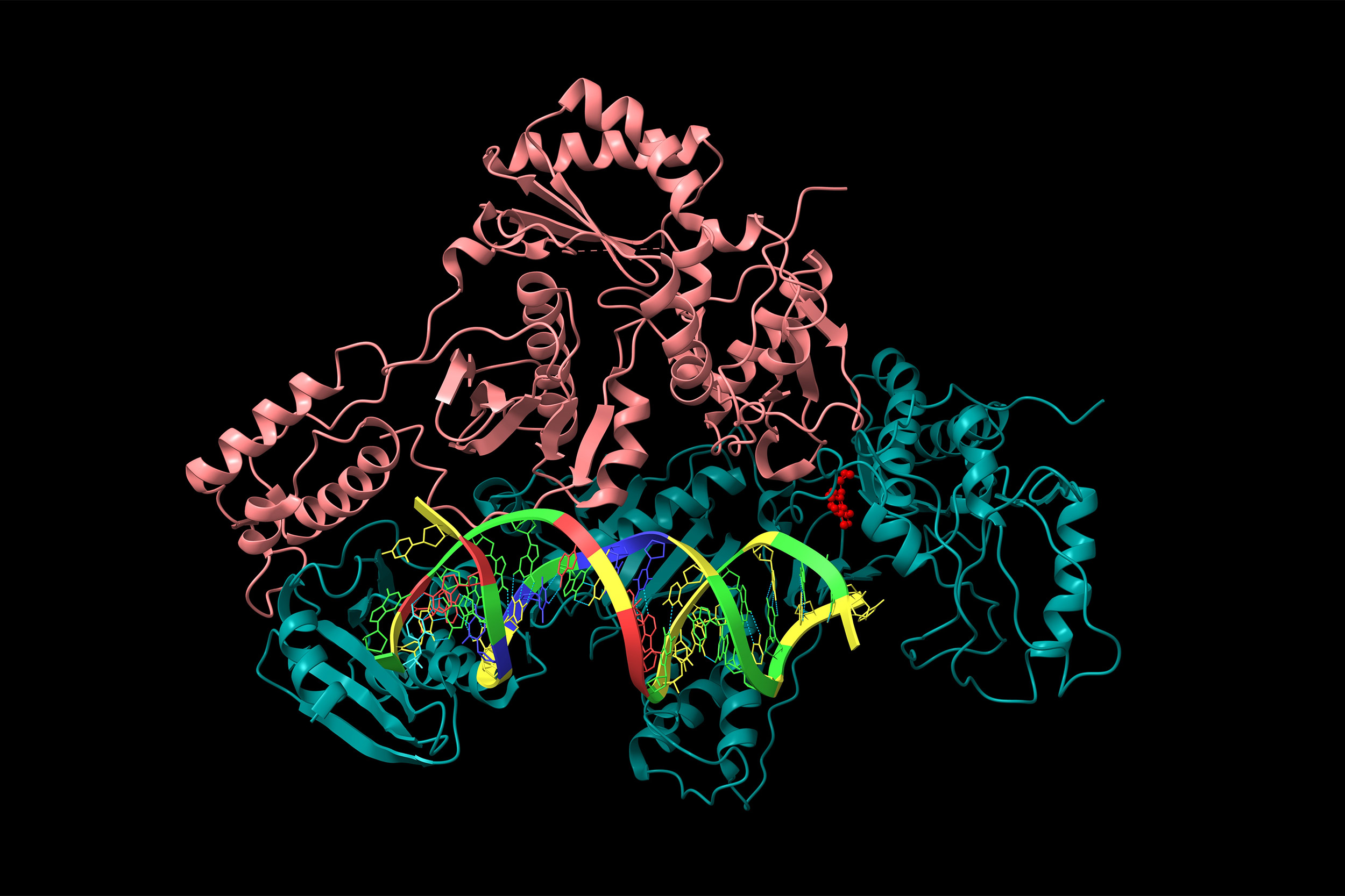 HIV drug stabilizes progression in metastatic colorectal cancer ...