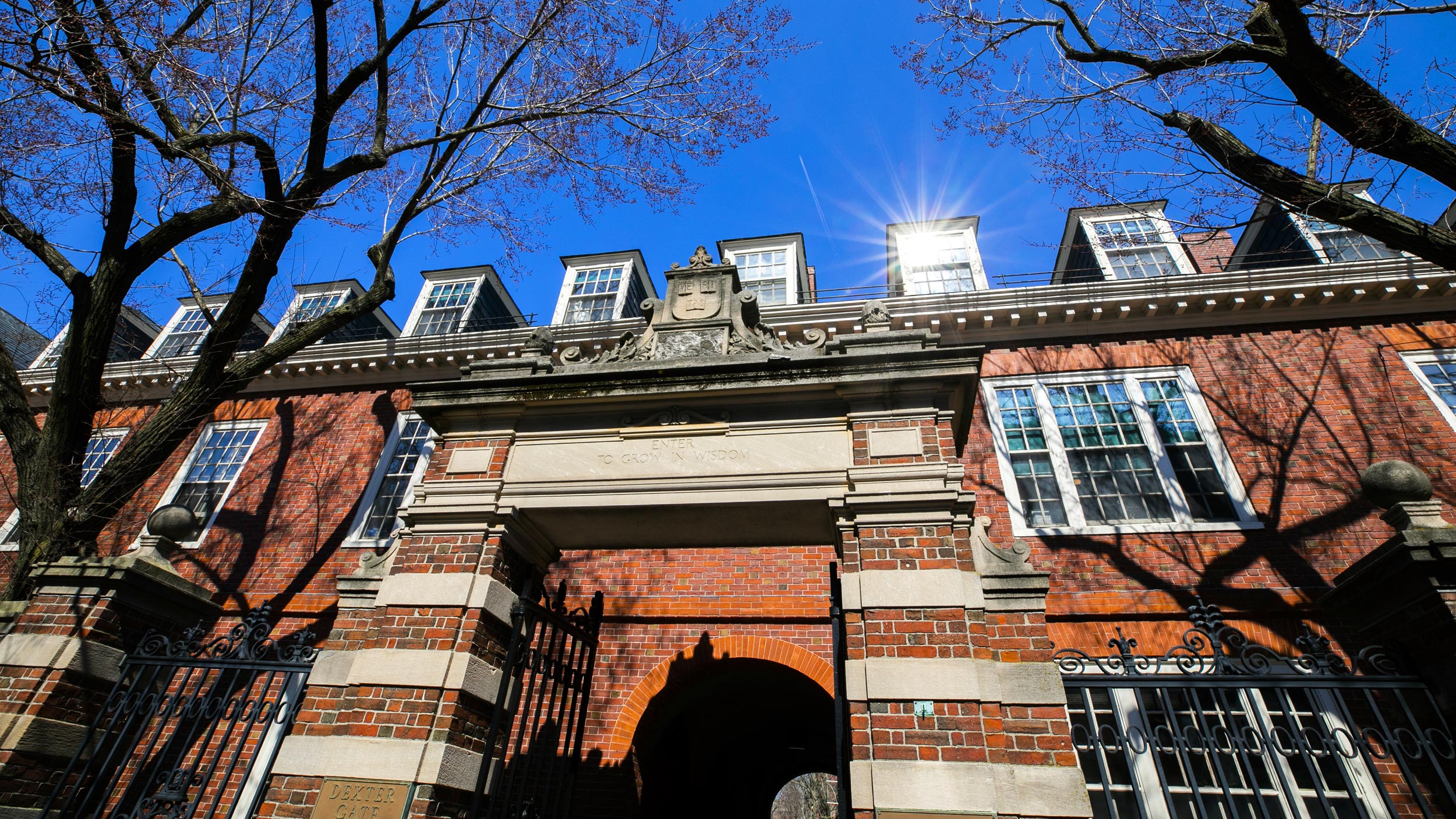 Looking up: Skyward views of Harvard — Harvard Gazette