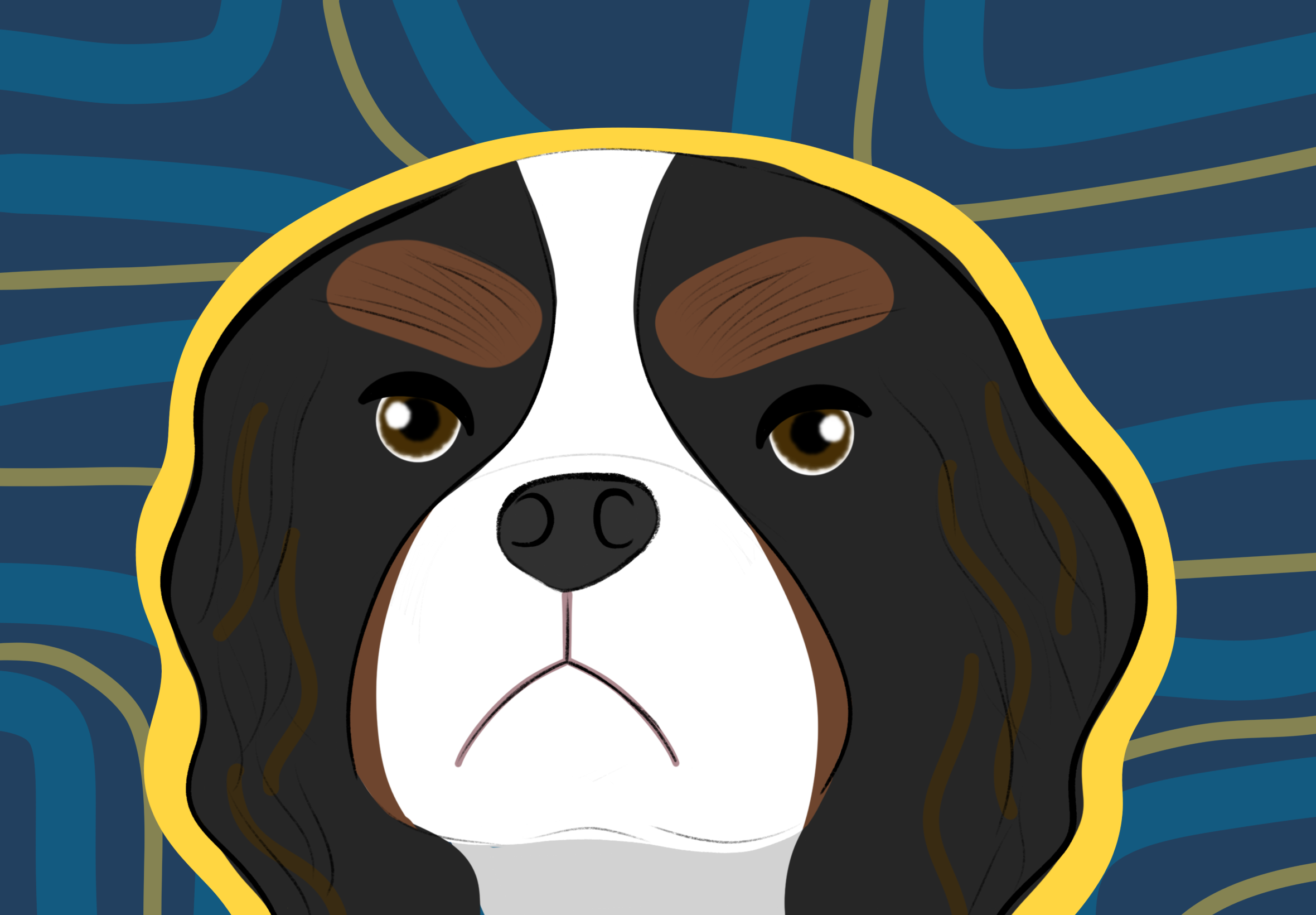 Quiz: How well do you know your dog? — Harvard Gazette